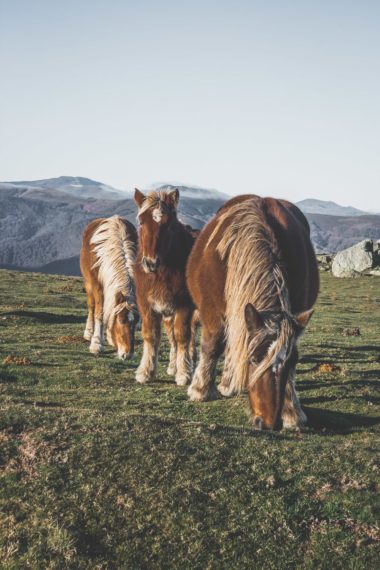 Que faire au Pays basque côté terre ? Road-trip dans l'arrière-pays