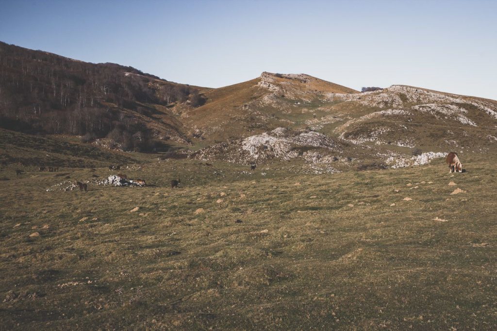 Que faire au Pays basque côté terre ? Road-trip dans l'arrière-pays