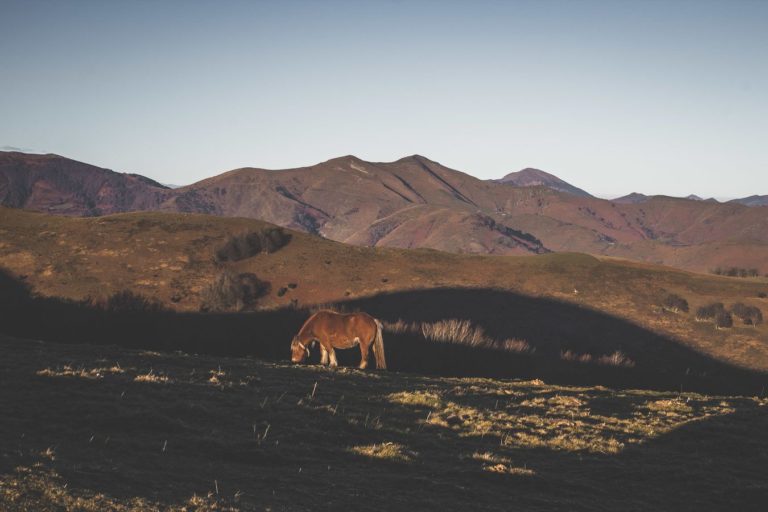 Que faire au Pays basque côté terre ? Road-trip dans l'arrière-pays ...